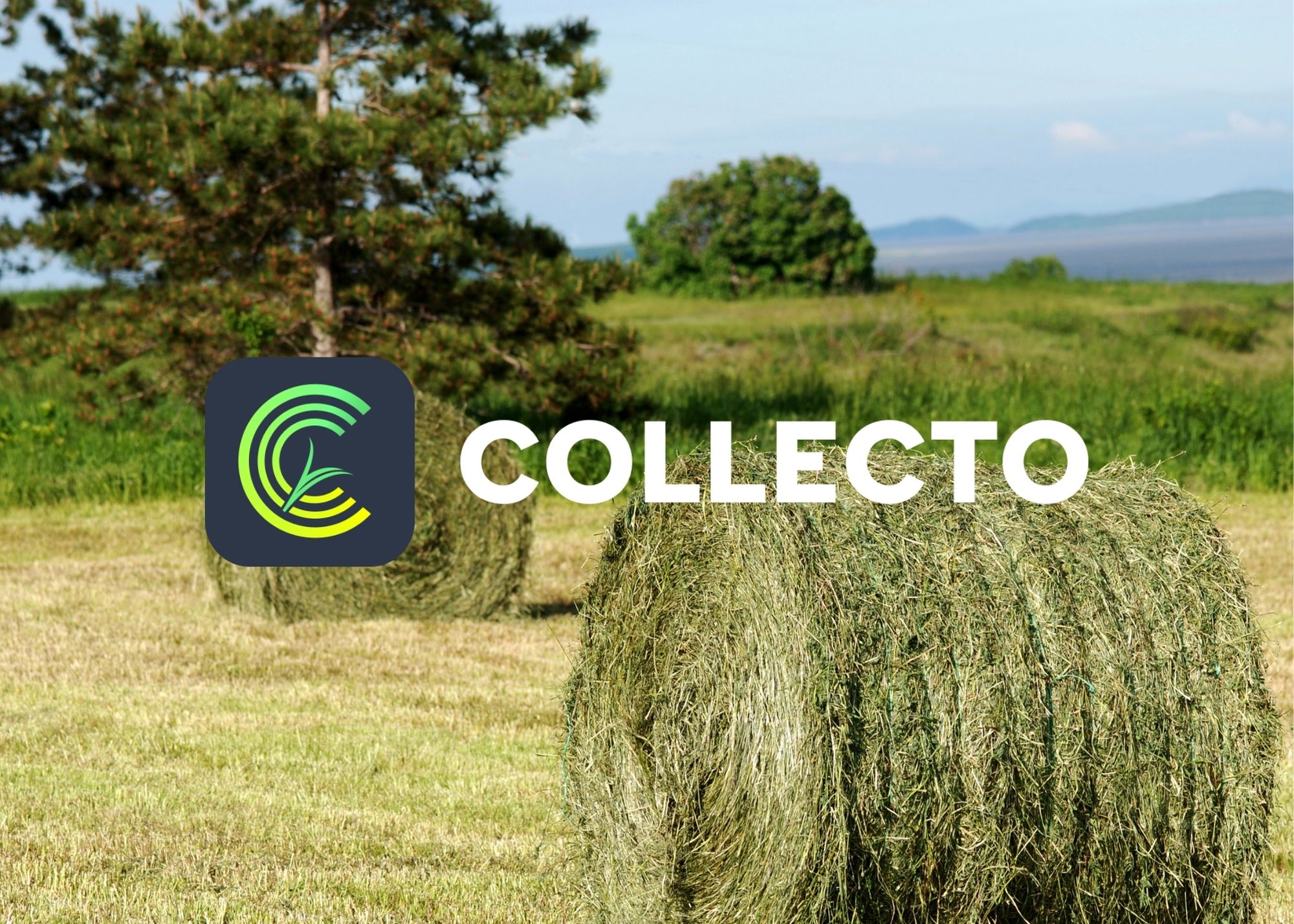 Collecto