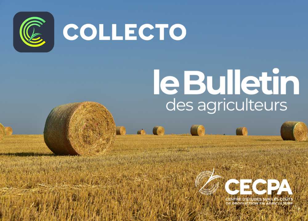 On parle de l'application Collecto!